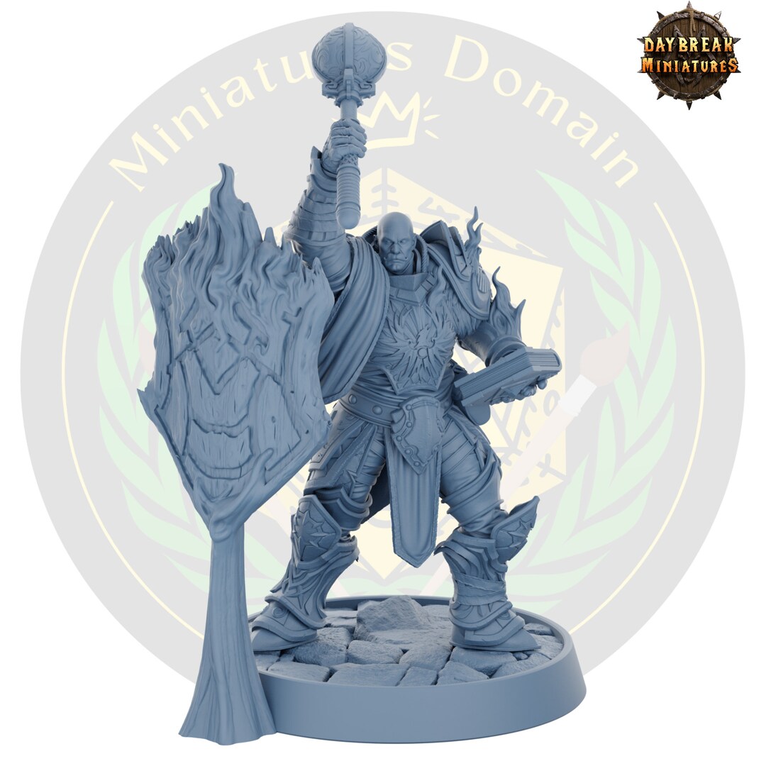 Stormlord Nicko Cinderwhisper Paladin Human DBM | Miniature Dungeons ...