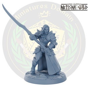 Noble Alfar Guardian Elf Fighter AG | Miniature Dungeons and Dragons ...
