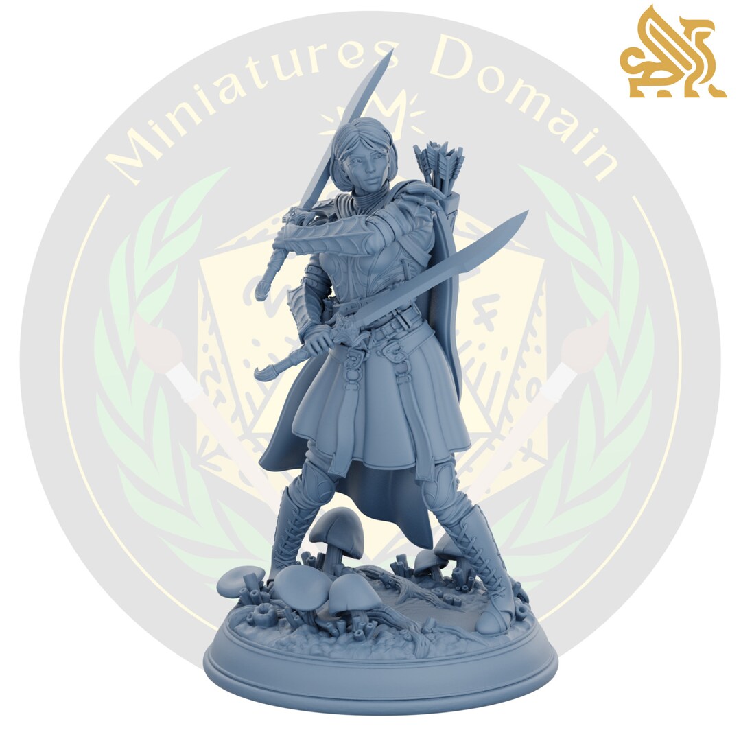 Drow Soldier With Swords Fighter Female DMS | Miniature Dungeons and ...