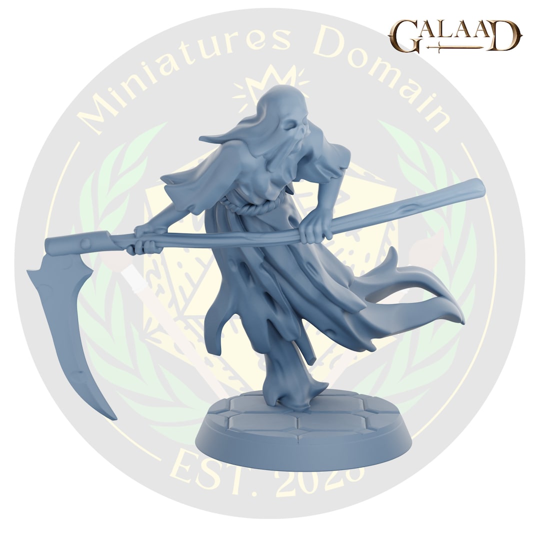Specter With a Scythe Galaad | Miniature Dungeons and Dragons Dnd ...