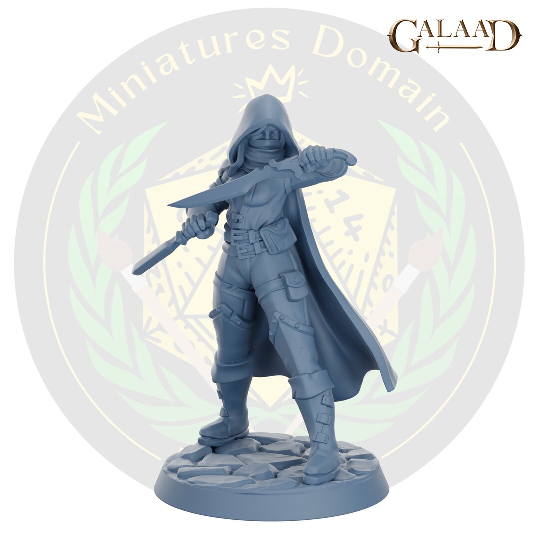 Assassin With Daggers Rogue Human Female Galaad | Miniature Dungeons ...