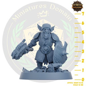 Tango Sparkhammer Goblin Barbarian Fighter DBM | Miniature Dungeons and ...