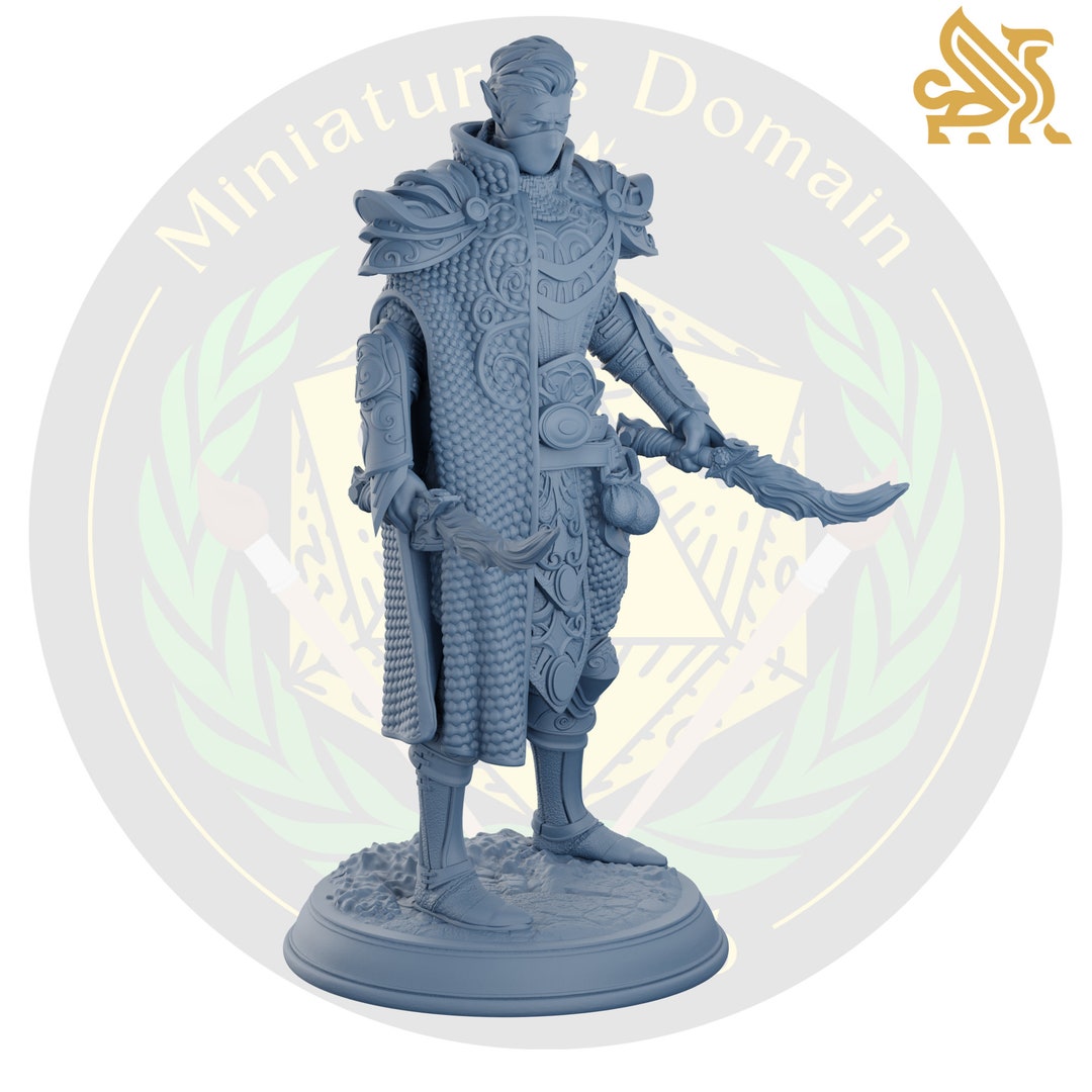 Erestian Elf Rogue DMS | Miniature Dungeons and Dragons Dnd Tabletop ...