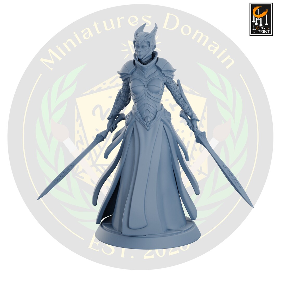 Female Knight Fighter RM| Miniature Dungeons and Dragons Dnd Tabletop ...