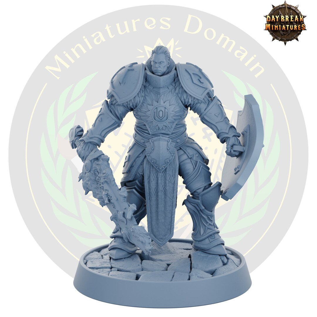 Prince Lysander Del Fiero Paladin Human DBM | Miniature Dungeons and ...