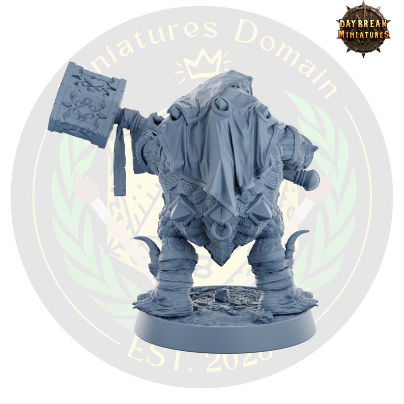 Topo Turtle Beastfolk Paladin DBM Miniature Dungeons and Dragons Dnd ...