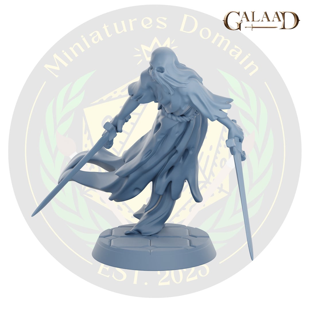 Specter With Two Swords Galaad | Miniature Dungeons and Dragons Dnd ...