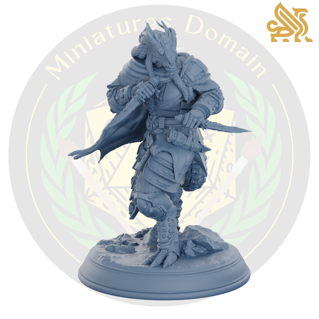 Umbrascale Dragonborn Rogue DMS | Miniature Dungeons and Dragons Dnd ...