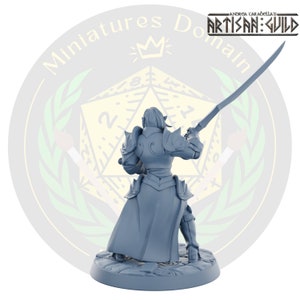 Noble Alfar Guardian Elf Fighter AG | Miniature Dungeons and Dragons ...