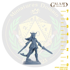 Tiefling Gladiator Tiefling Fighter Galaad Miniature Dungeons and Dragons Dnd Tabletop Miniature ...