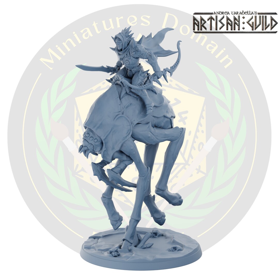 Zeek Rider in a Mask With a Sword and Bow Ranger Fighter Elf AG | Miniature Dungeons and Dragons ...