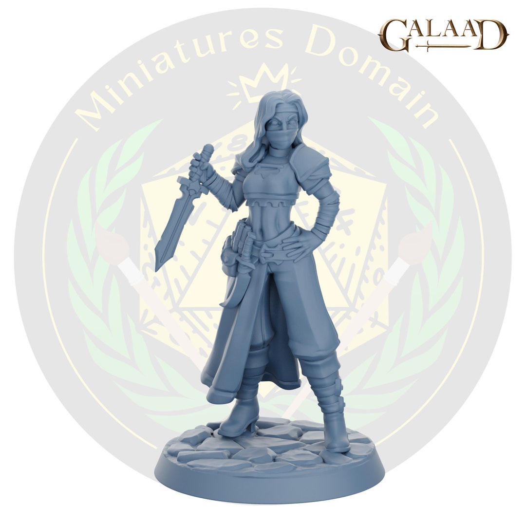 Masked Assassin Rogue Female Human Galaad | Miniature Dungeons and ...