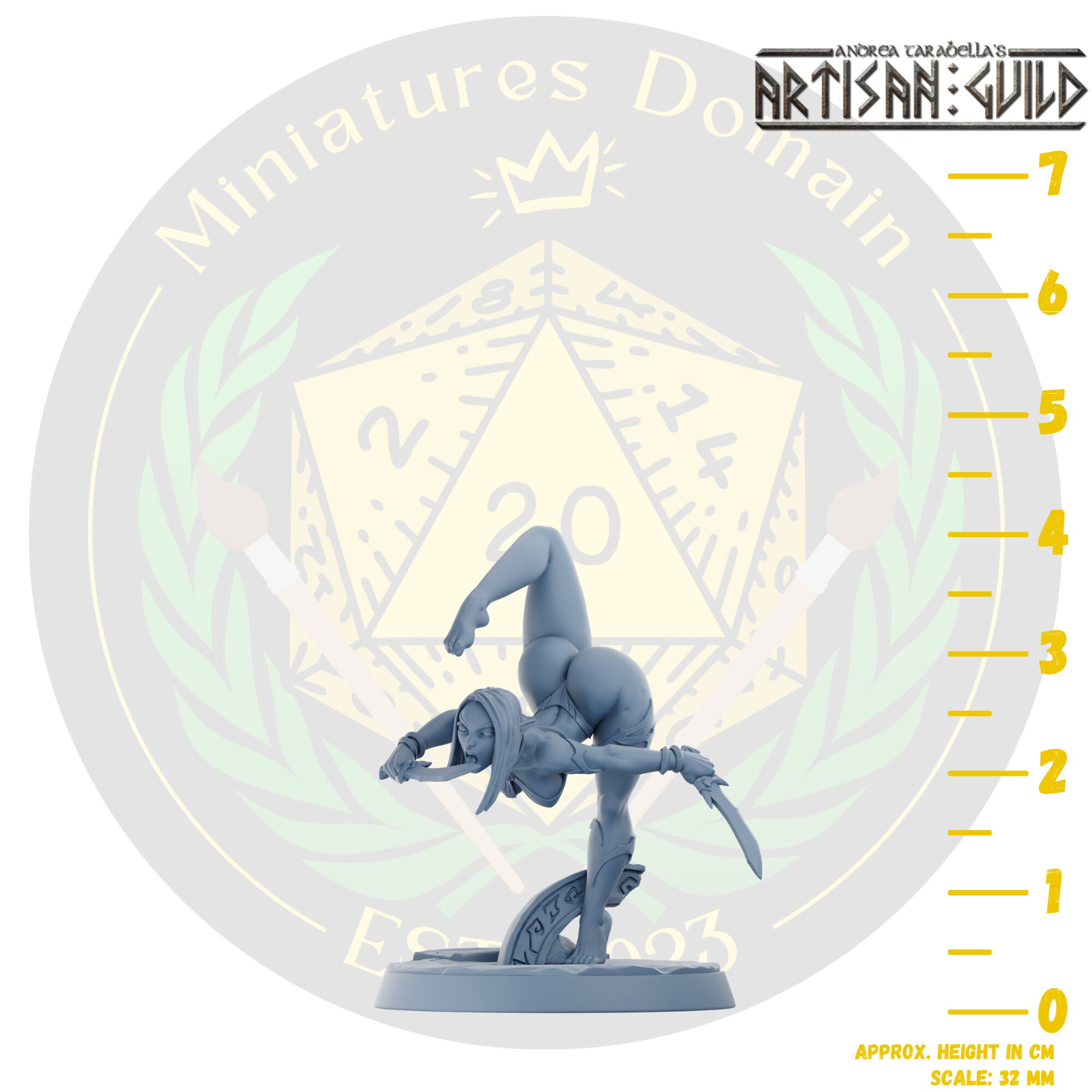 Nephelia, the Death Dancer Elf Rogue AG Miniature Dungeons and Dragons ...