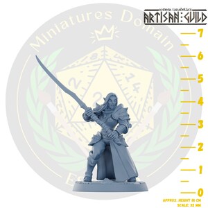 Noble Alfar Guardian Elf Fighter AG | Miniature Dungeons and Dragons ...