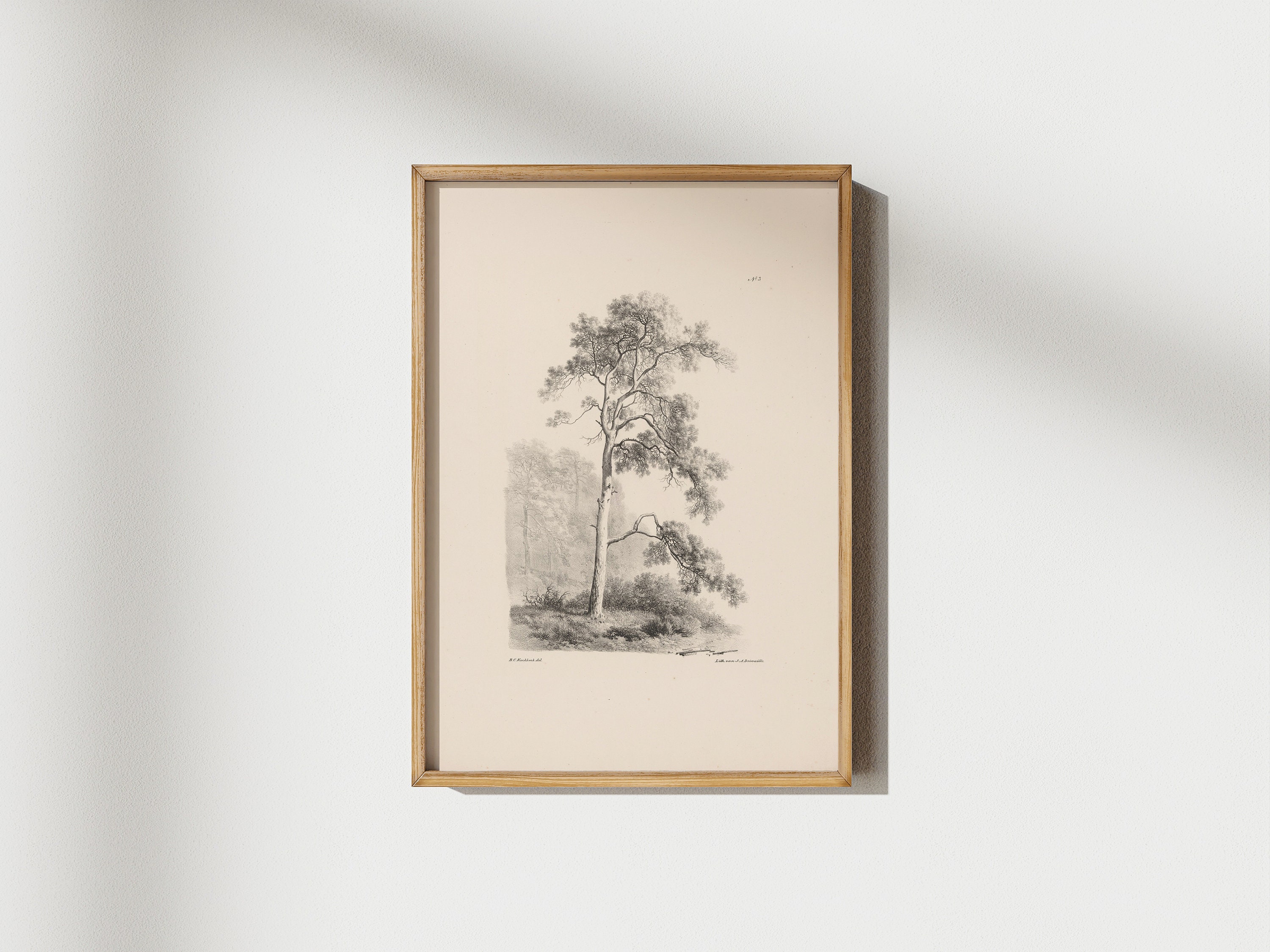 Vintage Tree Sketch Graphite Drawing Boho Farmhouse Art - Etsy