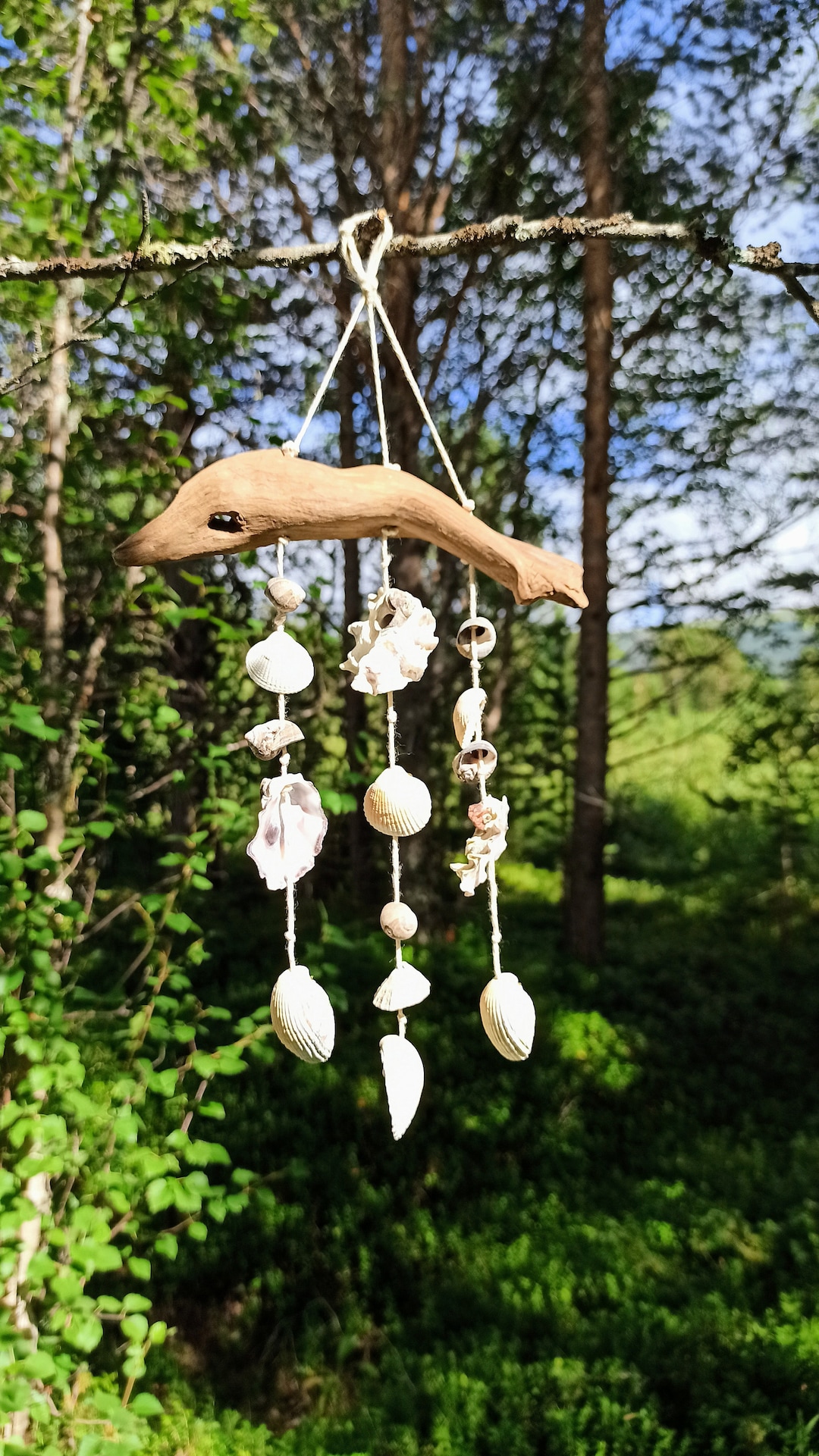 Seashell Wall Decor, Driftwood Shell Wind Chime, Outdoor Decoration ...