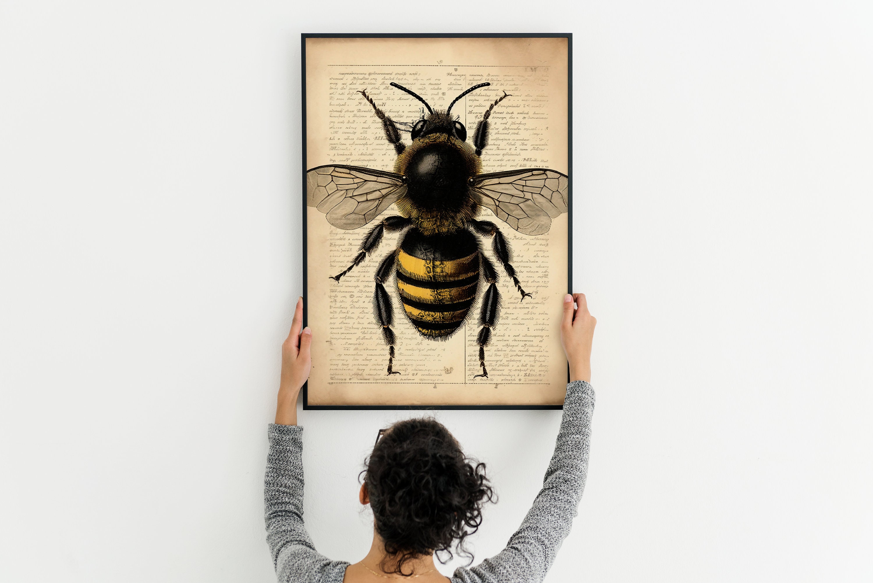 Printable Bee Art, Vintage Bee Sketch, Farmhouse Digital Print ...
