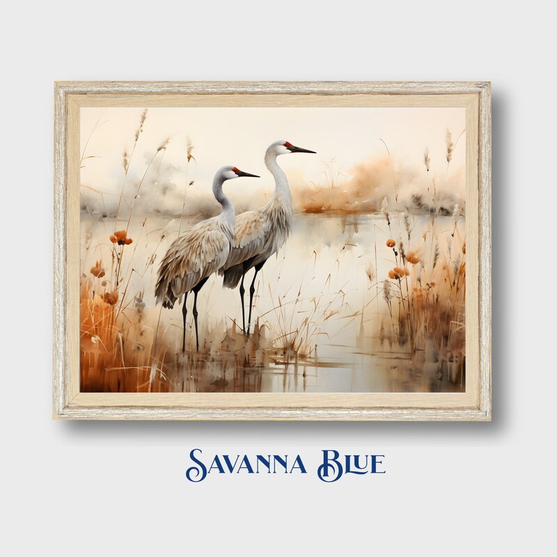 Florida Bird Art - Etsy