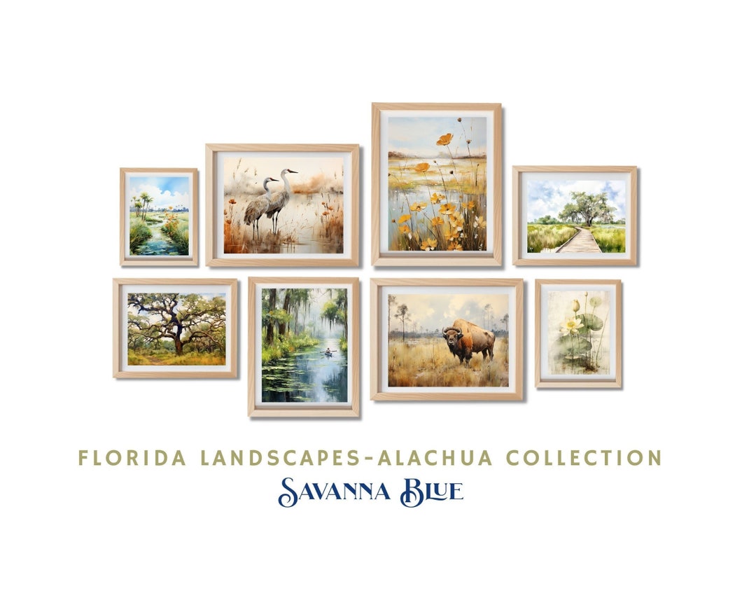 Florida Landscape Gallery Wall Art Alachua Paynes Prairie Bison Oak ...