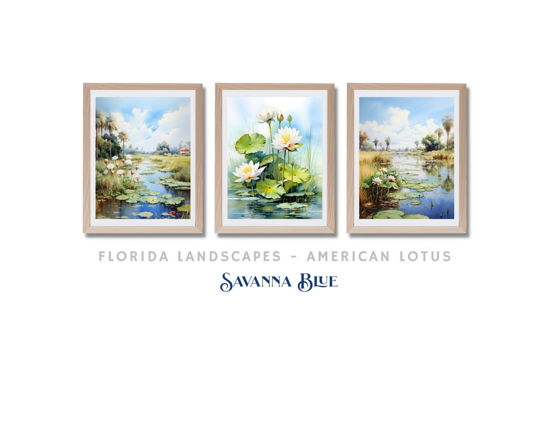 Florida Landscape American Lotus Gallery Wall Print Set Nature Wetland ...