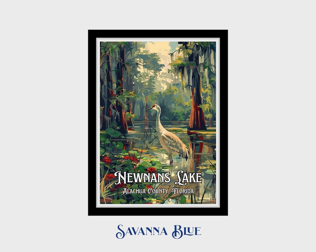 Newnans Lake Digital Poster Historic Alachua Trail Florida Wildlife ...