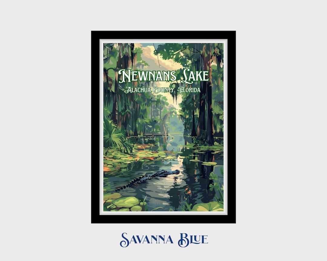 Newnans Lake Digital Poster Historic Alachua Trail Florida Wildlife ...