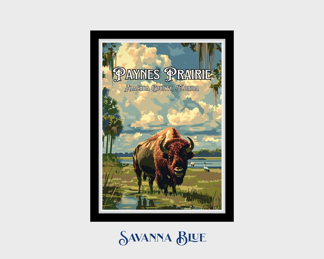 Paynes Prairie Digital Poster Paynes Prairie Florida Alachua Trail ...