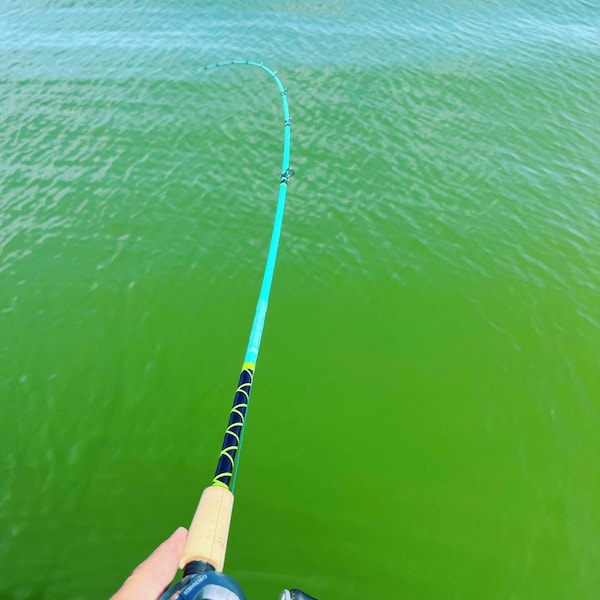 Fish Boom Ball Rod - Etsy Canada