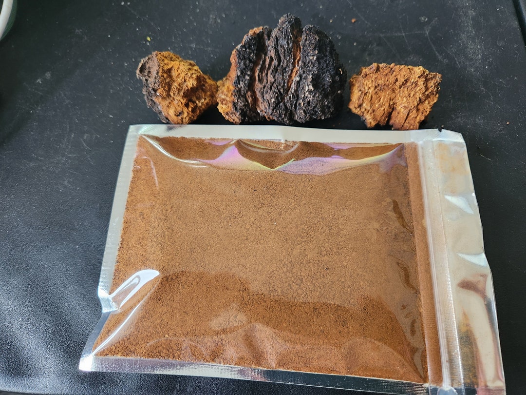 Wild Foraged Dried Chaga Mushroom Powder for Tea 40 Gram Packages - Etsy