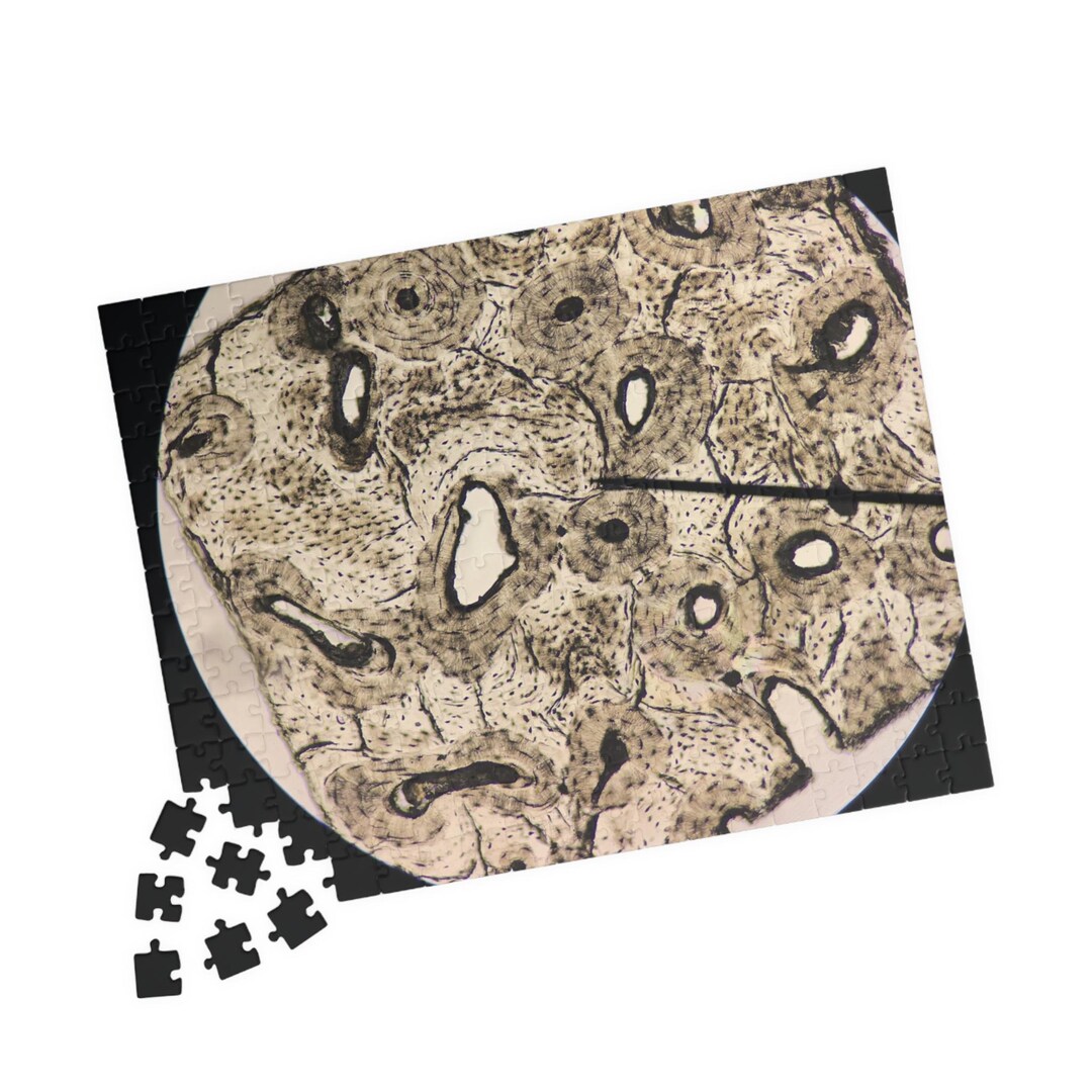 Histology Bone Puzzle, Microscopic Biology Anatomy Lab Science Gift ...