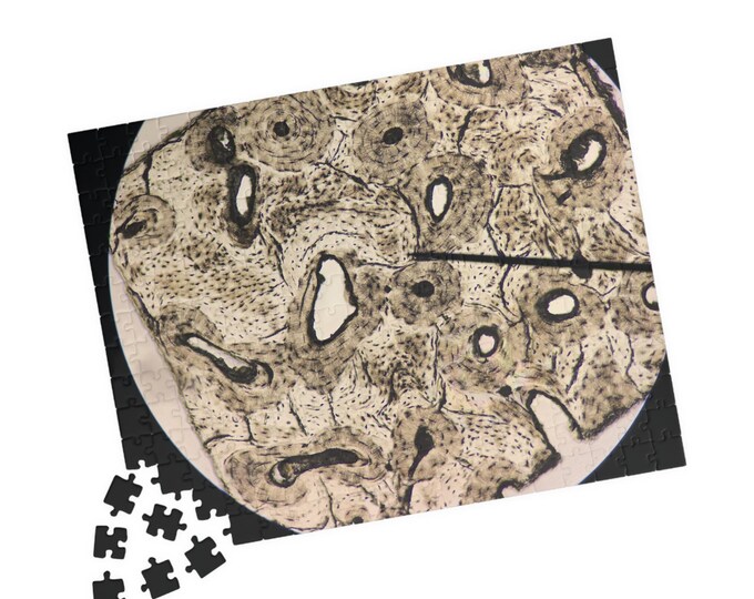 Histology Bone Puzzle, Microscopic Biology Anatomy Lab Science Gift ...