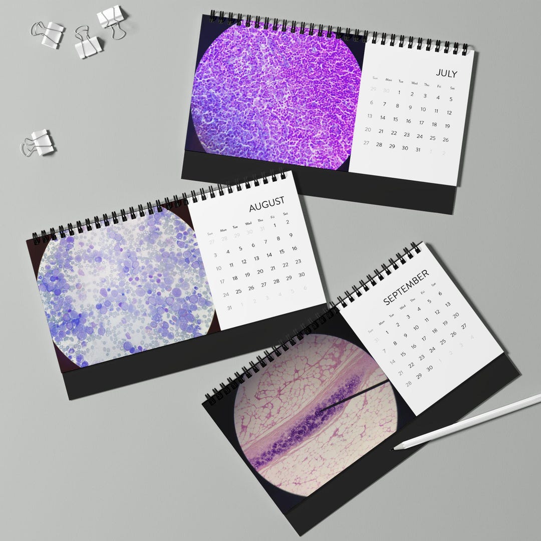 2025 Laboratory Scientist Desk Calendar: Histology Art Scheduler for ...
