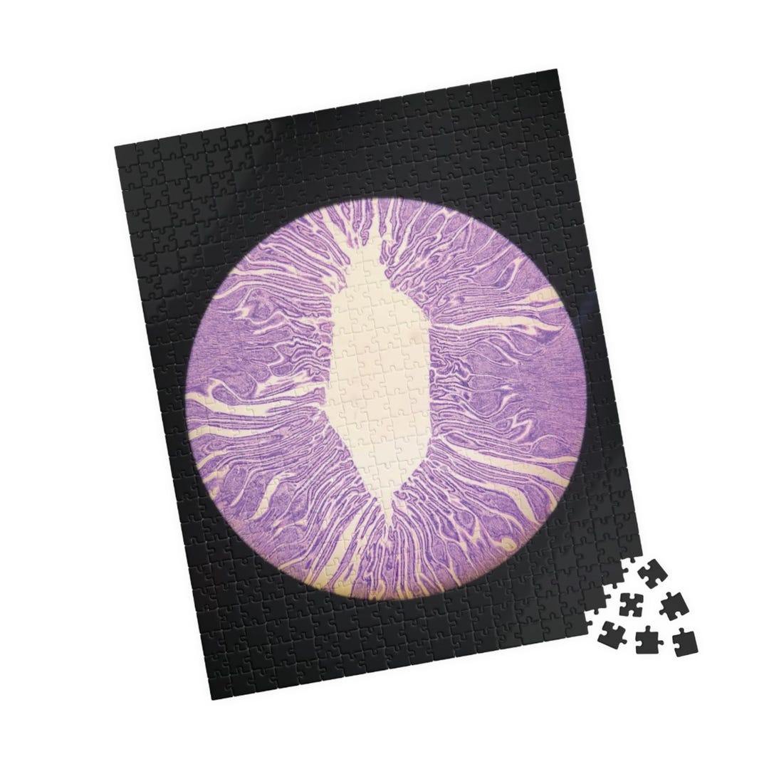 Histology Puzzle, Microscopic Biology Anatomy Lab Science Gift, 110 ...
