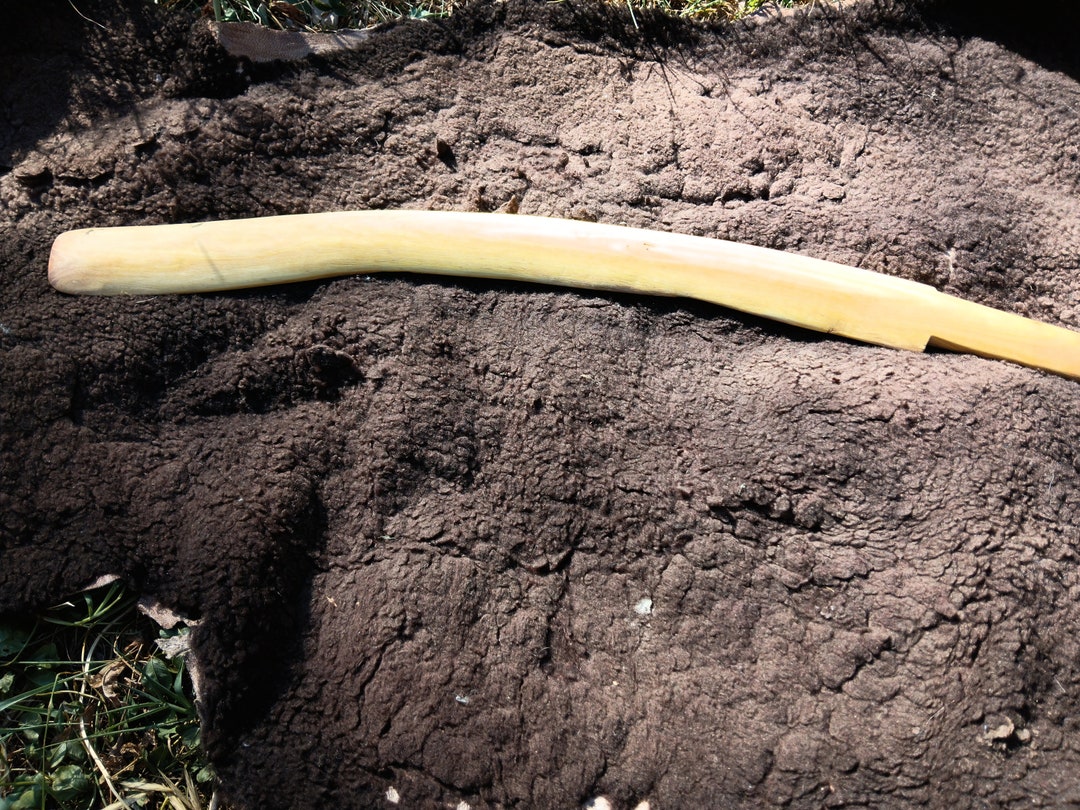 Handmade Hopi Rabbit Stick Replica - Etsy