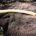 Handmade Hopi Rabbit Stick Replica - Etsy