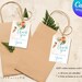 Onederful Gift Tags, Favor Tags, Thank You Tags, Loot Bag Tags, the ...
