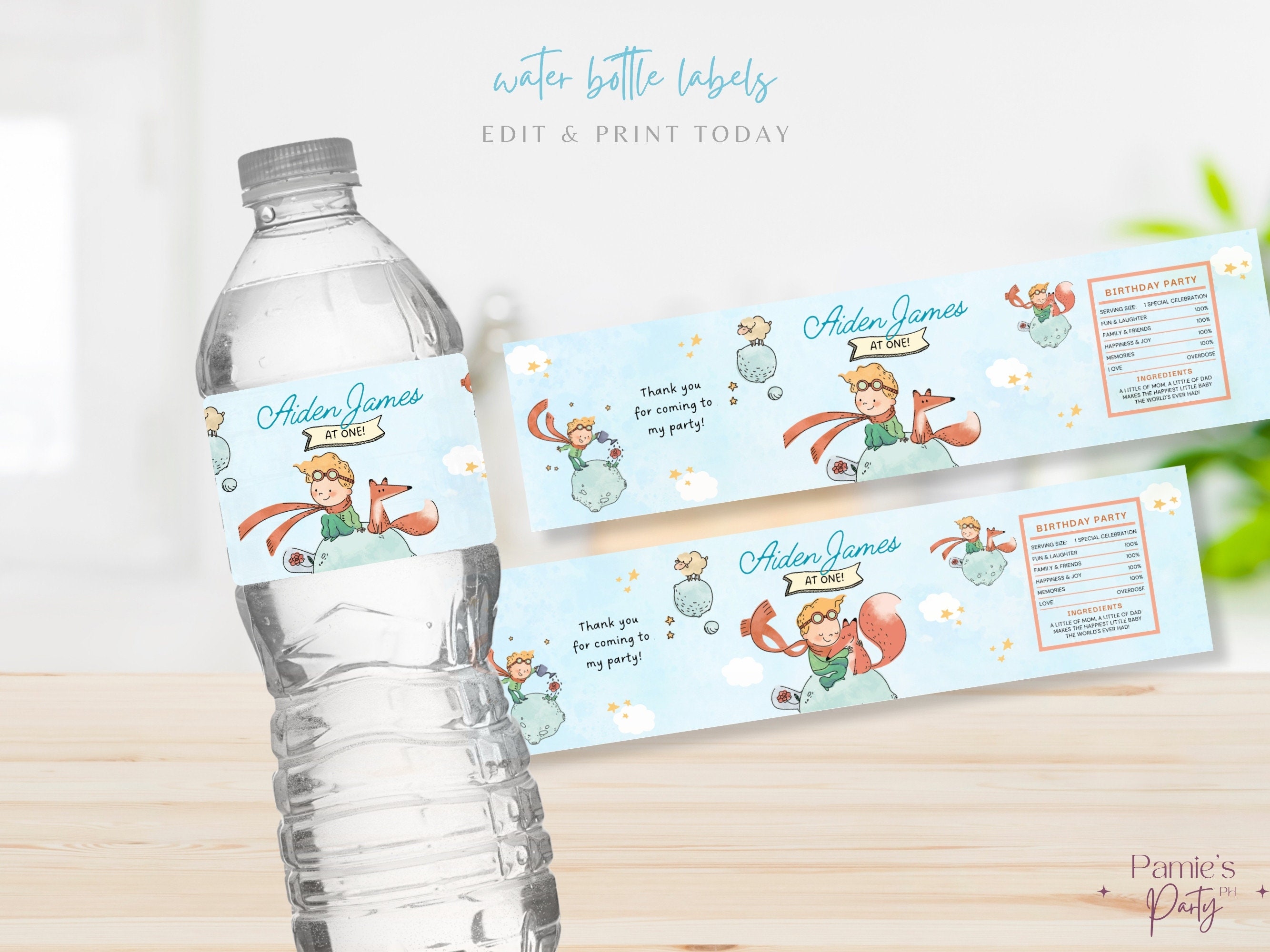 DIY the Little Prince Party Favors, Editable Party Bundle, Boy 1st ...