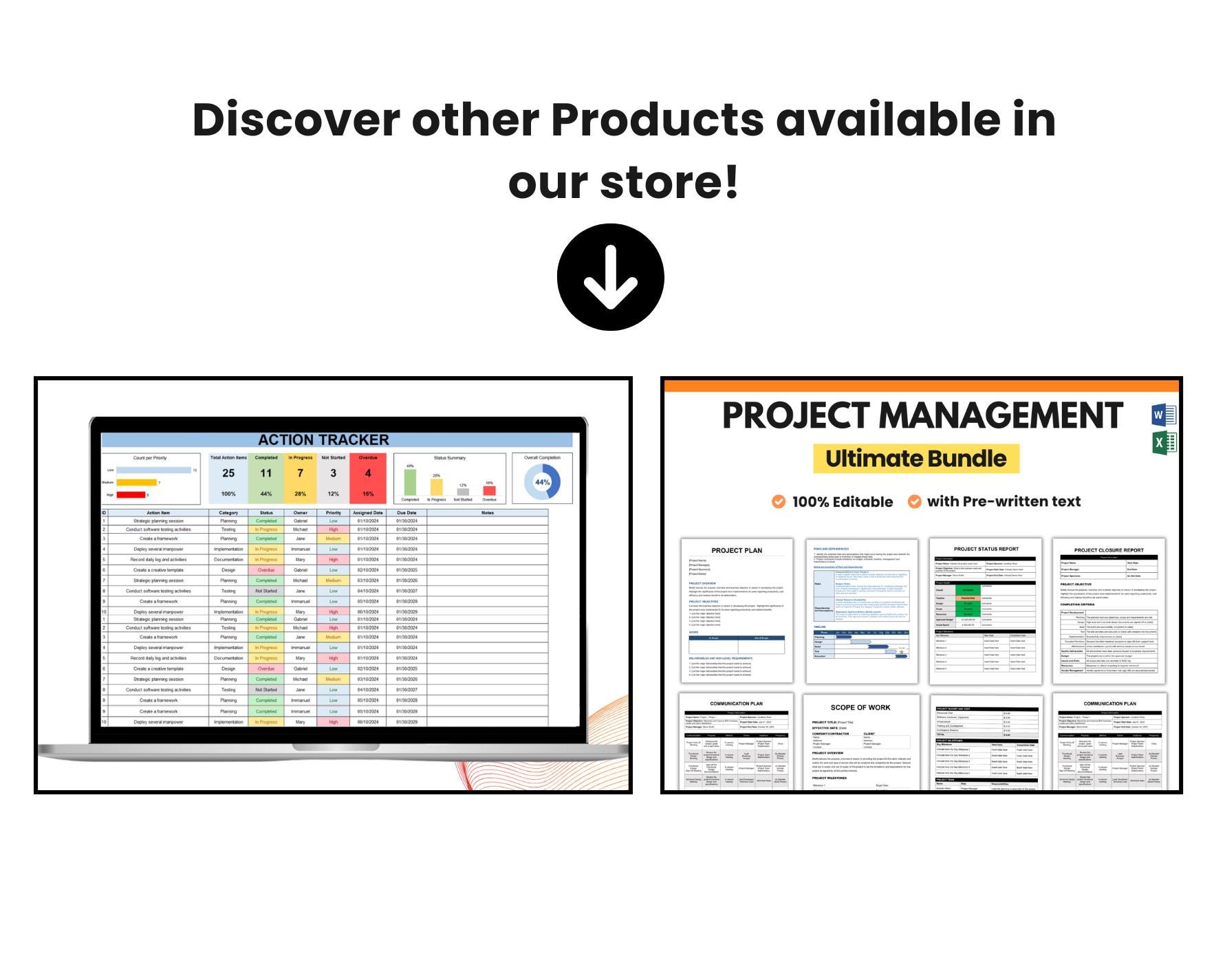 Action Plan Template, Project Action Plan, Task Planner, Activity ...
