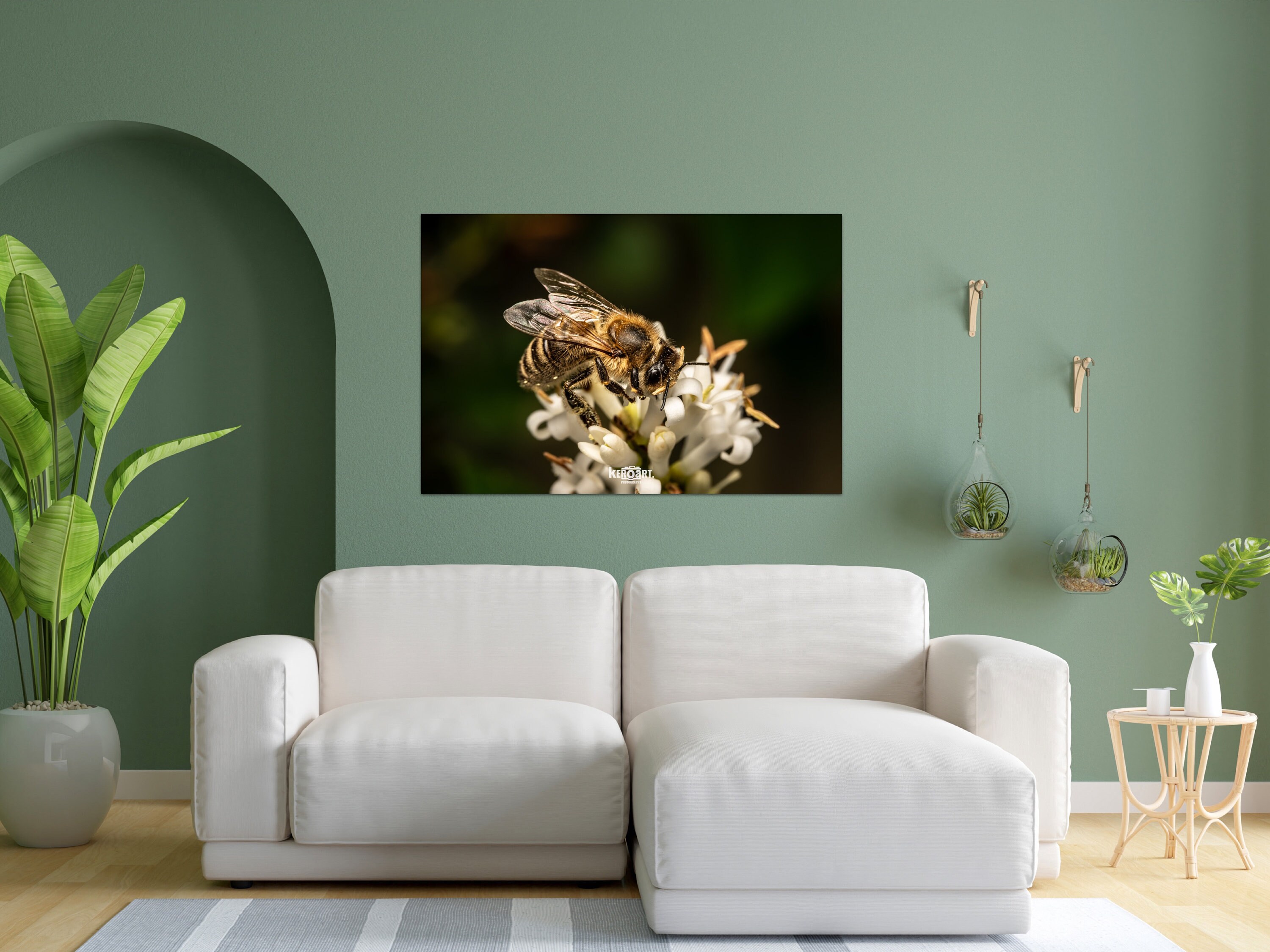 Bee Flower Bee Print Version Photo Posters Nature Plant Flower for ...
