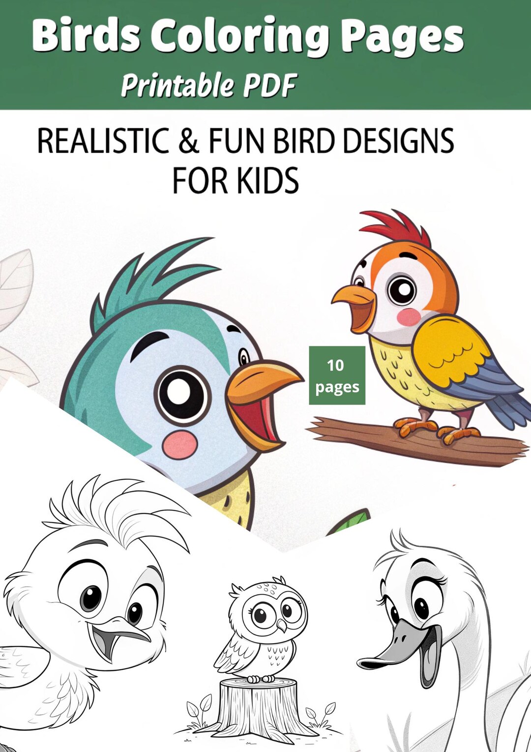 10 Cute Cartoon Bird Coloring Pages for Kids | Printable PDF Instant ...