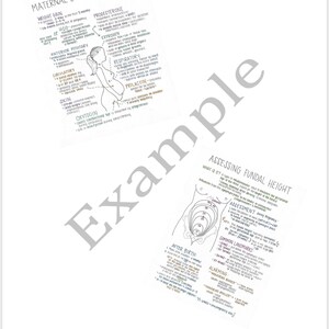 Maternal Bundle: Fetal Positioning - Etsy