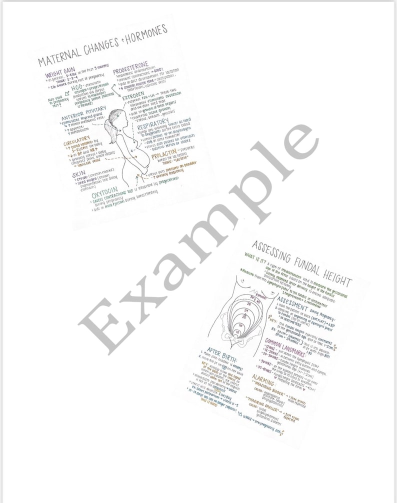 Maternal Bundle: Fetal Positioning - Etsy