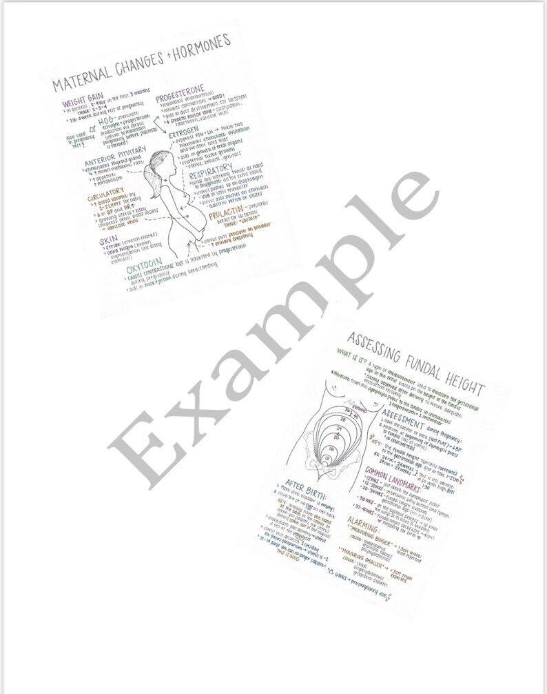 Maternal Bundle: Fetal Development Stages - Etsy