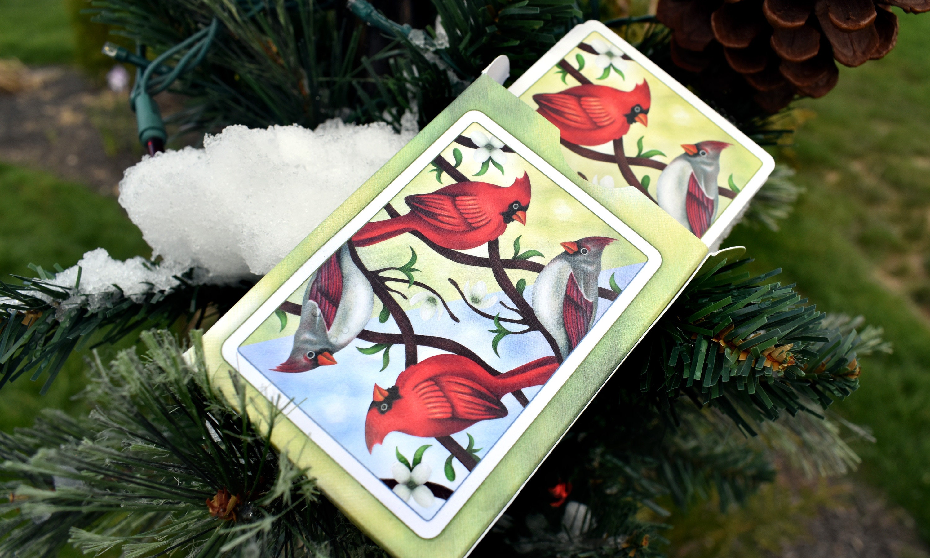Cardinals EUCHRE Playing Cards - Etsy