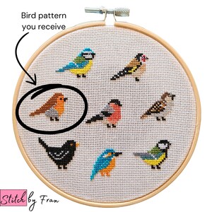 Mini Robin Cross Stitch Pattern - Easy Embroidery for Beginners - Robin ...