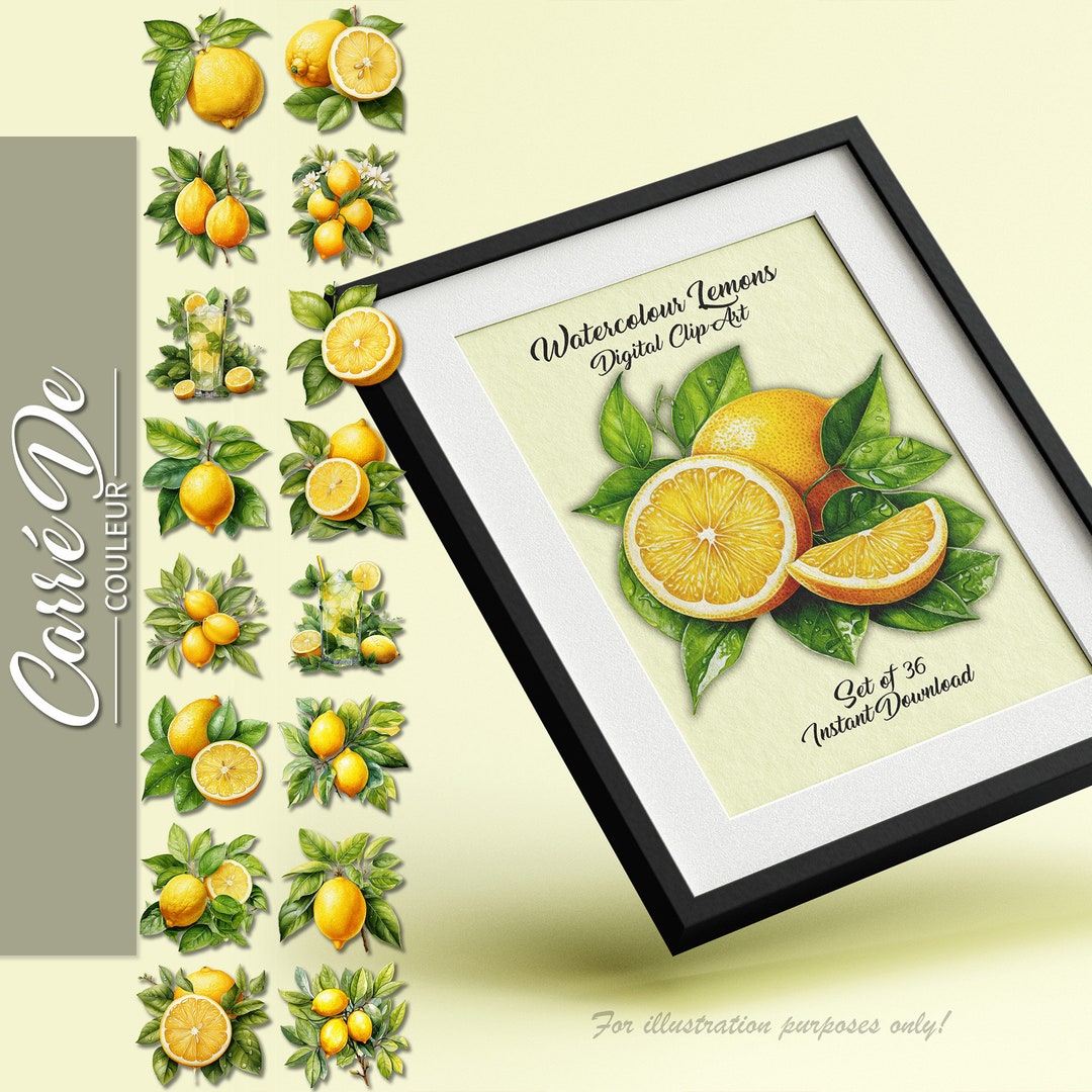 Lemons Clip Art, 36 High Quality PNG Digital Download Yellow Tone ...