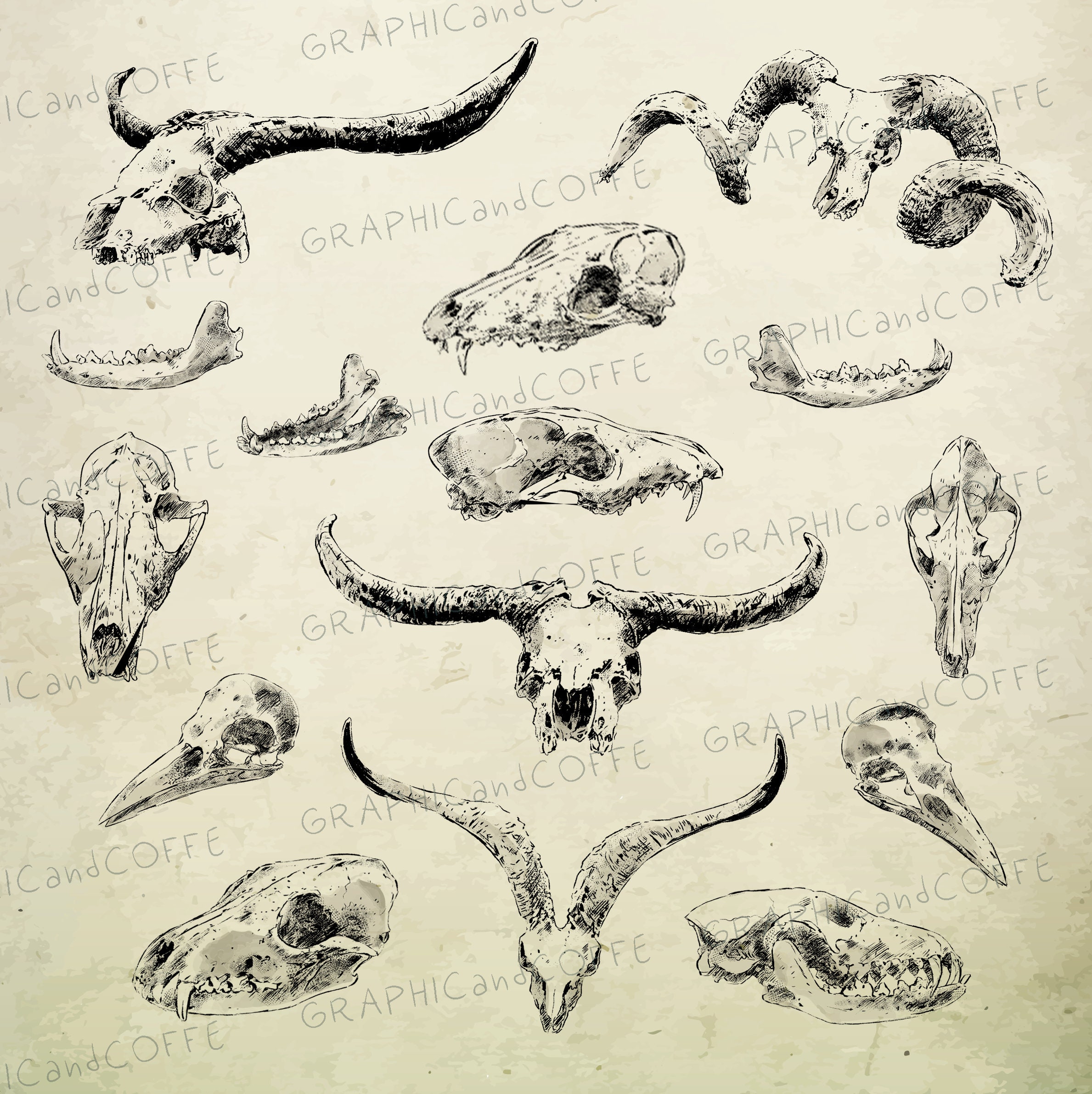 Animal Skulls Clip Art Pack Animal Skulls Ink Style, PNG/SVG Decoration ...