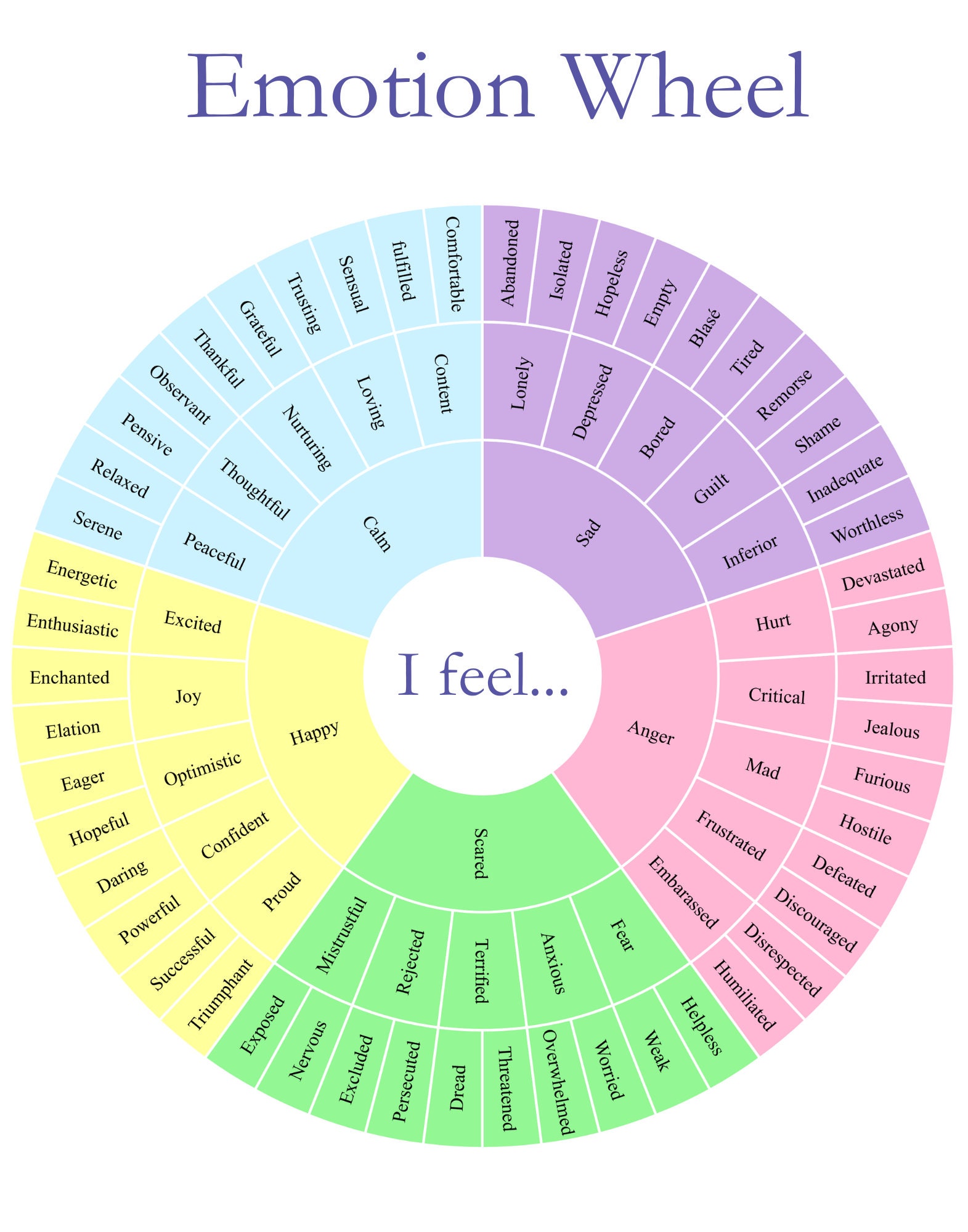 Feelings Wheel, Emotion Wheel, Wheel of Emotion, Emotions Chart, School ...