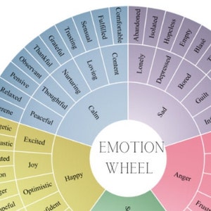 Emotion Wheel Keyring - Great for Therapy, for Your Therapist ...