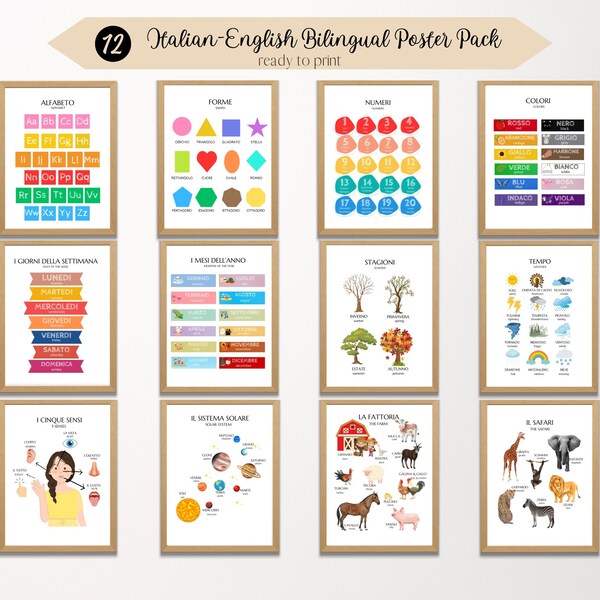 Italian Classroom - Etsy